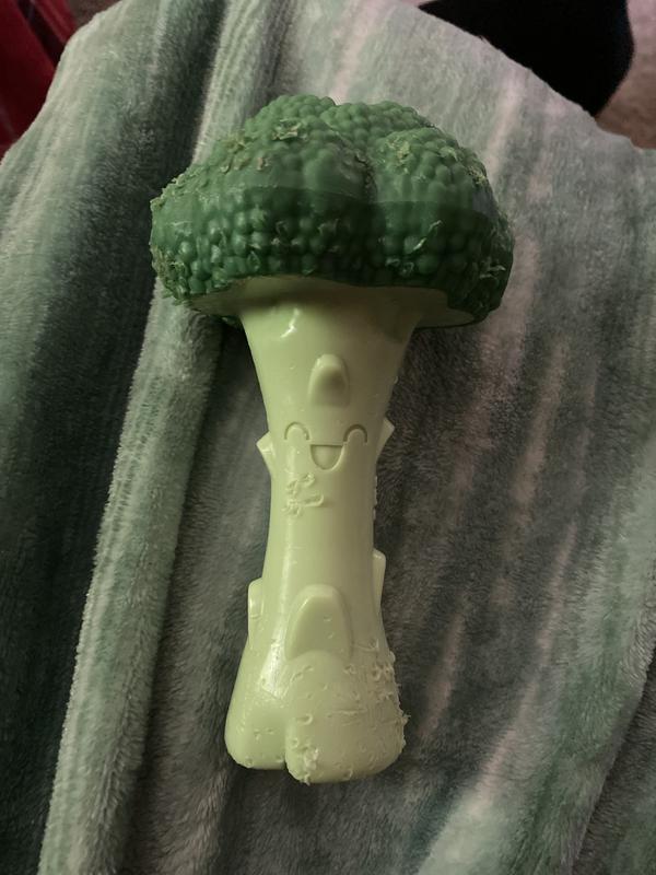 NYLABONE Power Chew Broccoli Dog Toy Bacon Cheese, Large - Chewy.com