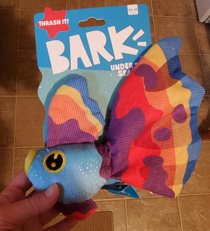 BARK Beta Boop Whip & Flip Squeaky Plush Dog Toy - Chewy.com