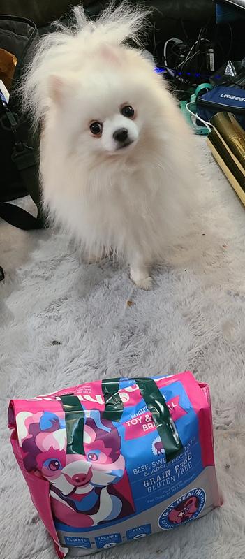 SOLID GOLD Mighty Mini Small & Toy Breed Grain-Free Beef, Sweet Potato ...