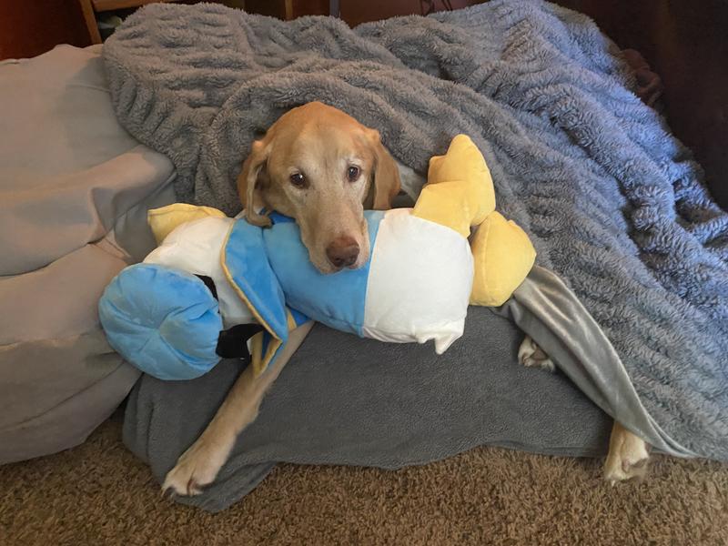 DISNEY Donald Duck Jumbo Plush Squeaky Dog Toy - Chewy.com