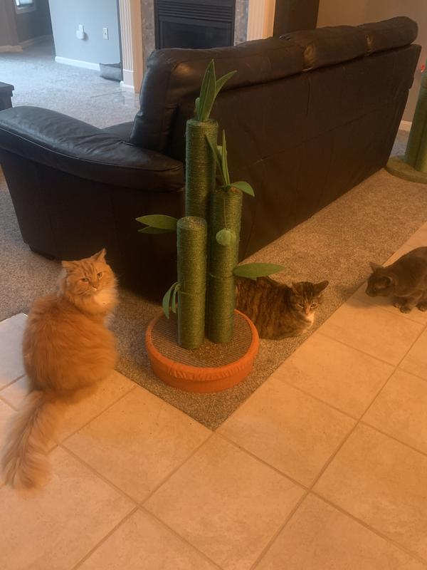 Out of Stock - FRISCO Lucky Bamboo 35.5" Cat Scratching Posts with Toys ...
