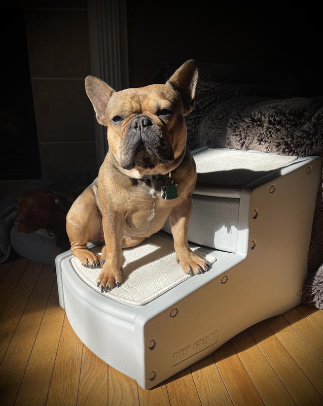 PET GEAR Easy Step Dog & Cat Stairs, Large, Extra-Wide - Chewy.com