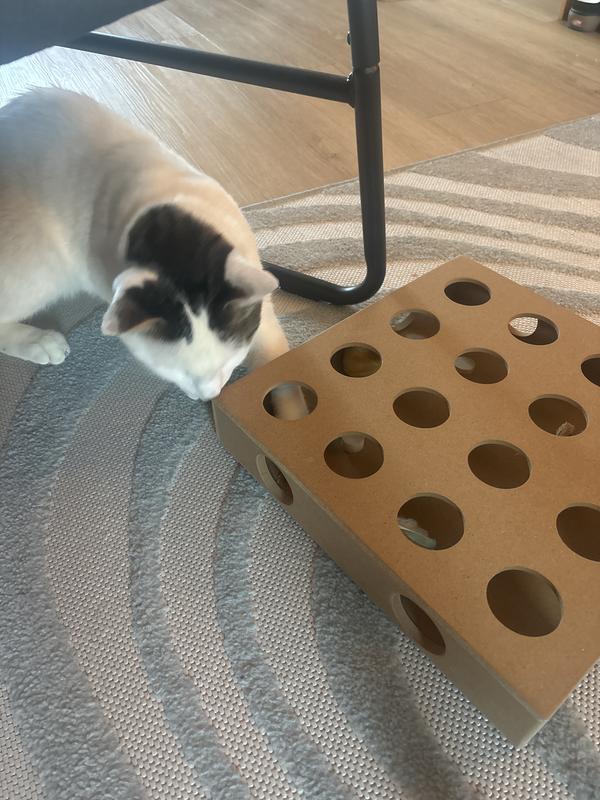 FRISCO Interactive Wooden Maze Cat Toy Box with Catnip - Chewy.com