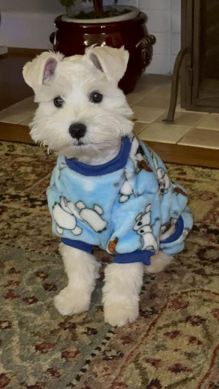 DISNEY Frozen's Olaf Dog & Cat Plush Fleece PJ, X-Large - Chewy.com