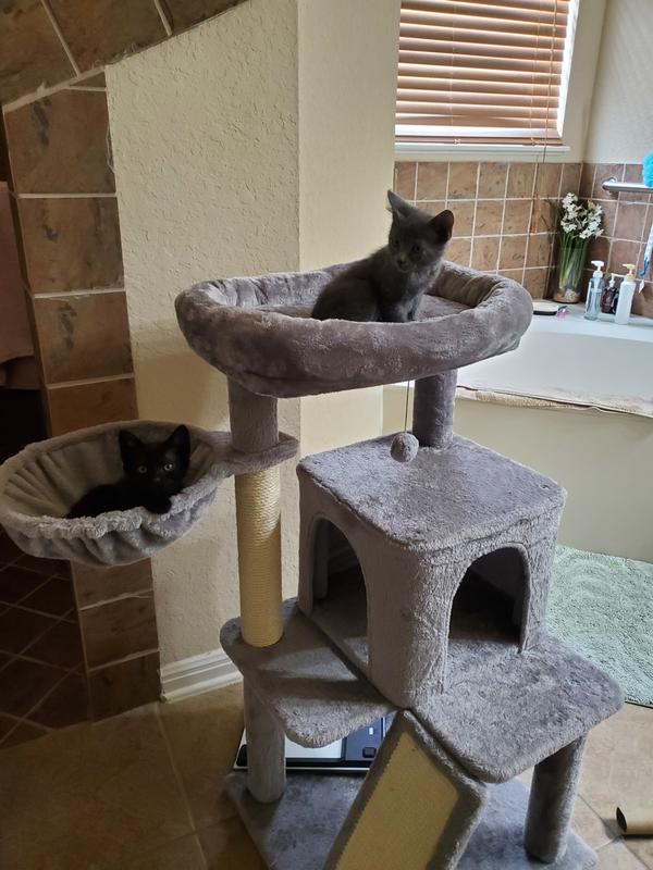 Out of Stock - TRIXIE Pepito Cat Tree, Gray - Chewy.com