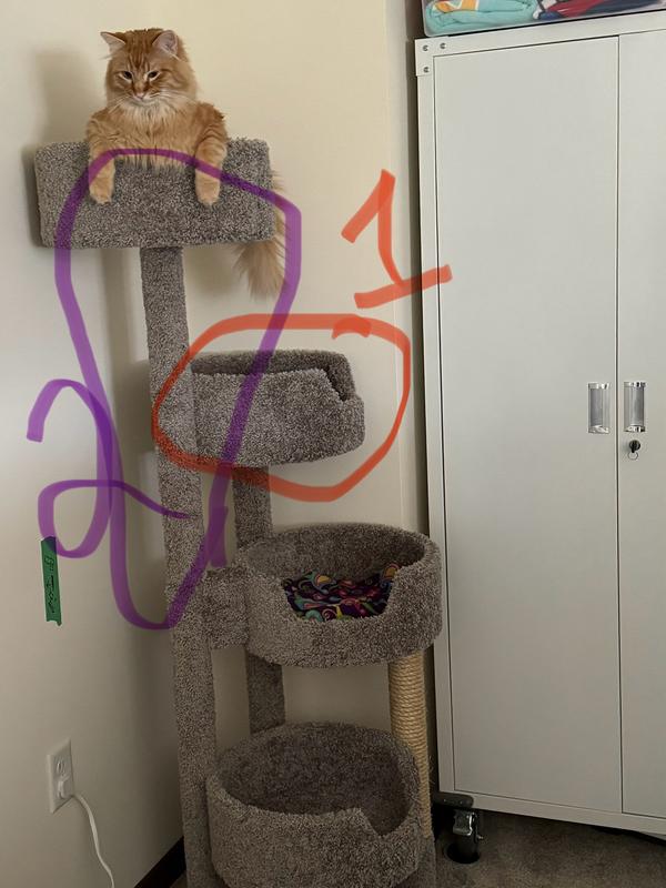 FRISCO 65-in Real Carpet Wooden Cat Tree, Beige - Chewy.com