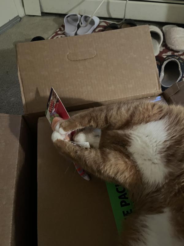 KONG Pull-A-Partz Purrito Plush Cat Toy with Catnip - Chewy.com