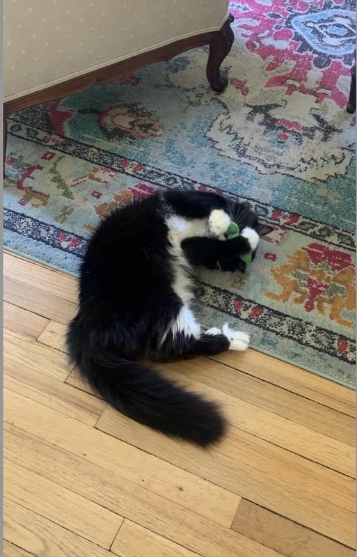 CATSTAGES Fresh Breath Mint Stick Cat Chew Toy - Chewy.com