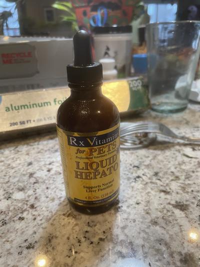 RX VITAMINS Hepato Chicken Flavored Liquid Liver Supplement for Cats ...