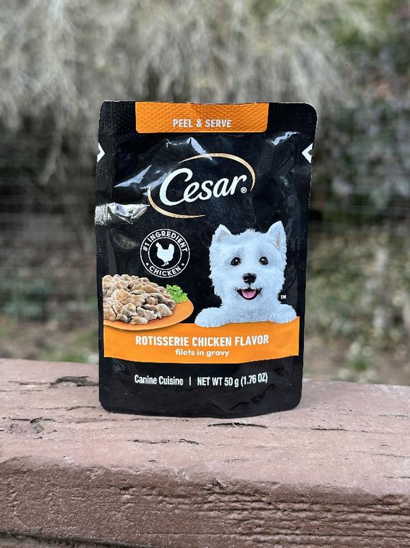 CESAR Rotisserie Chicken Flavor Filets in Gravy Wet Dog Food, 1.76-oz ...