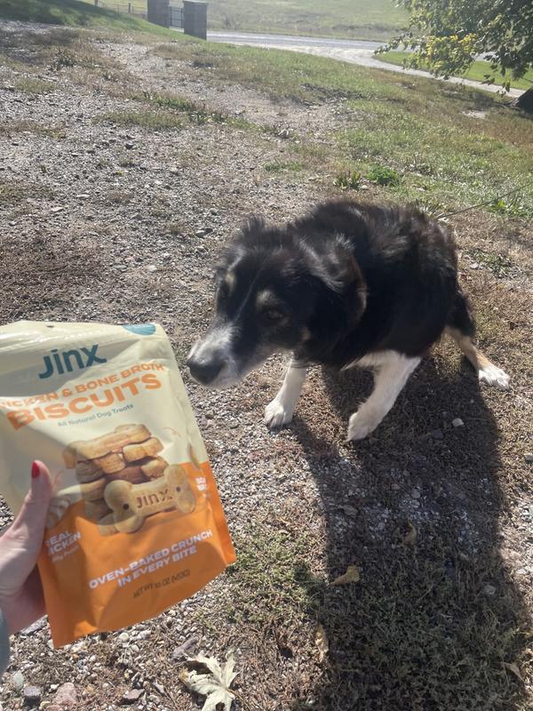 JINX Chicken & Bone Broth Biscuits Crunchy Dog Treats, 16-oz bag ...