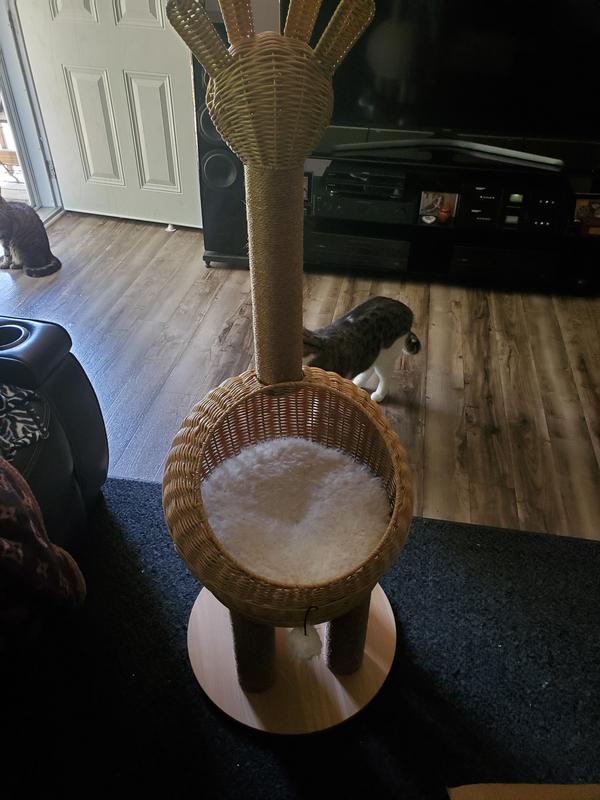 FRISCO Giraffe 51" Wicker Cat Tree & Condo - Chewy.com