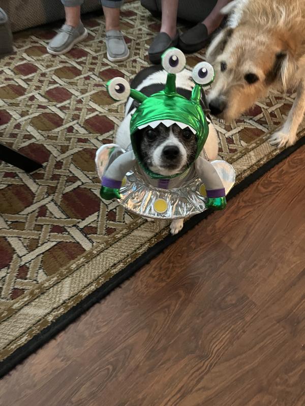 Temporarily Unavailable - FRISCO Front Walking Alien Dog & Cat Costume ...