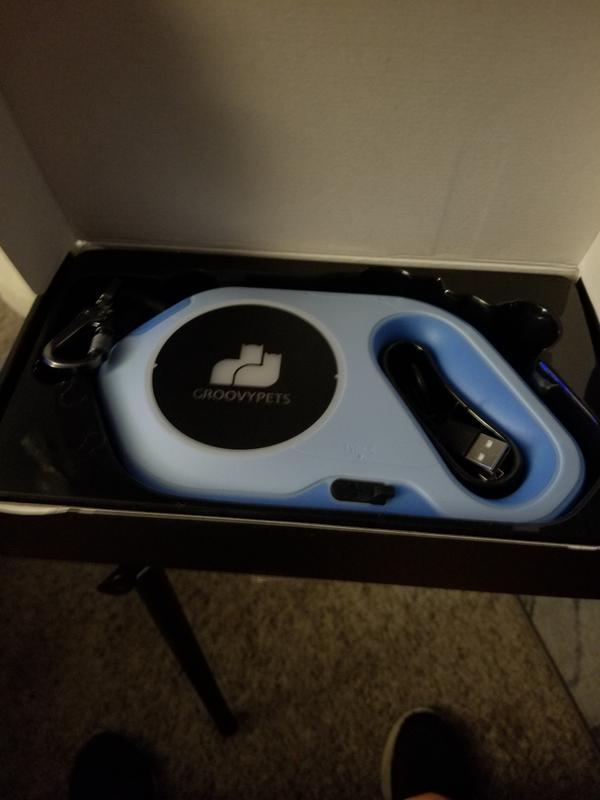 GROOVYPETS LED Flashlight Color Streamer Ring Nylon Retractable Dog ...