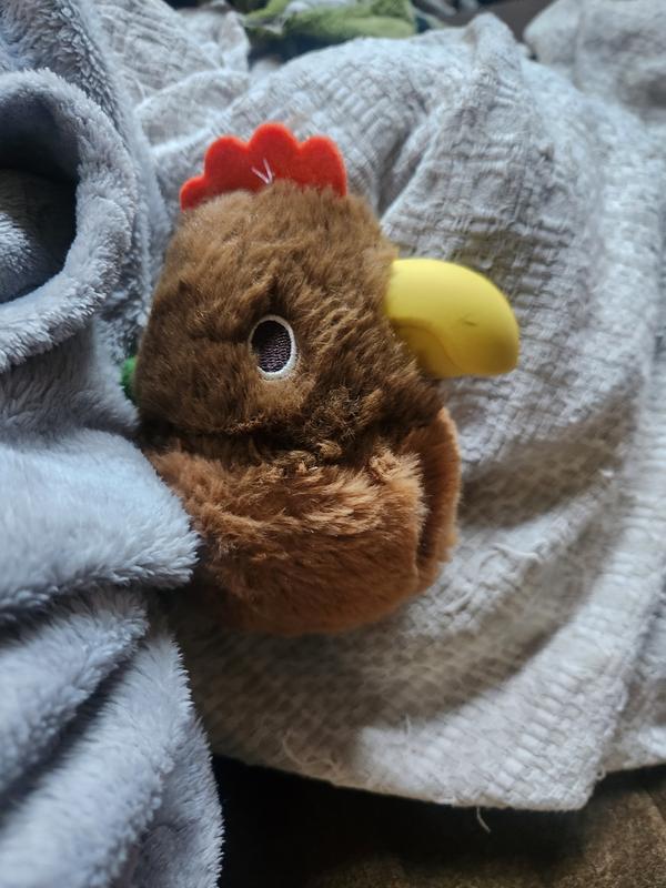 BARK Fowl Play 2-in-1 Plush Exterior with Hard Core Tough Treat ...