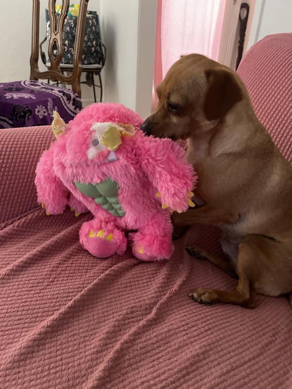 FRISCO Halloween Zany Monster Muscle Plush Squeaky Dog Toy, Medium ...