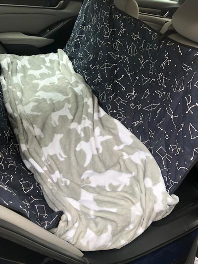 MOLLY MUTT Rocketman Multi-Use Cargo, Hammock & Car Seat Cover - Chewy.com