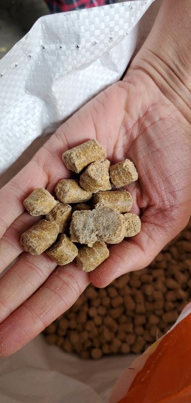 KALMBACH FEEDS 18% Rodent Diet Cubes Rats & Mice Food, 50-lbs bag ...