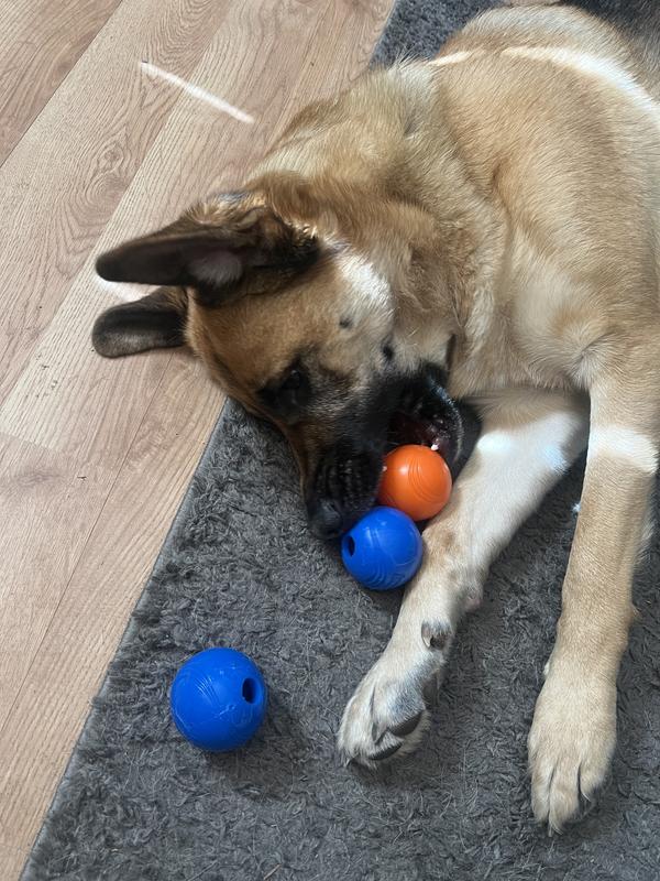 CHUCKIT! Strato Ball Dog Toy, 2 count | Chewy Canada