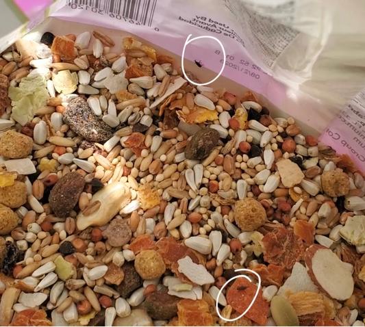 HIGGINS Safflower Gold Natural Mix Conure & Cockatiel Food, 3-lb bag ...