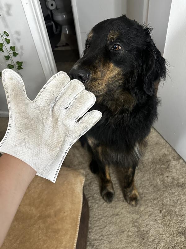 HICC PET Deodorizing Cat & Dog Glove Wipes, 20 count - Chewy.com