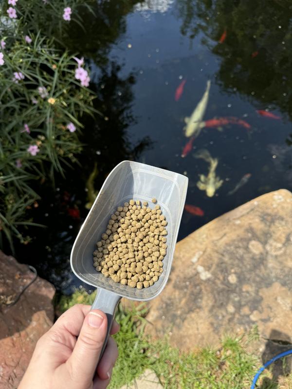 NUTRENA Nature's Canvas Koi Fish Food, 20-lb bag - Chewy.com