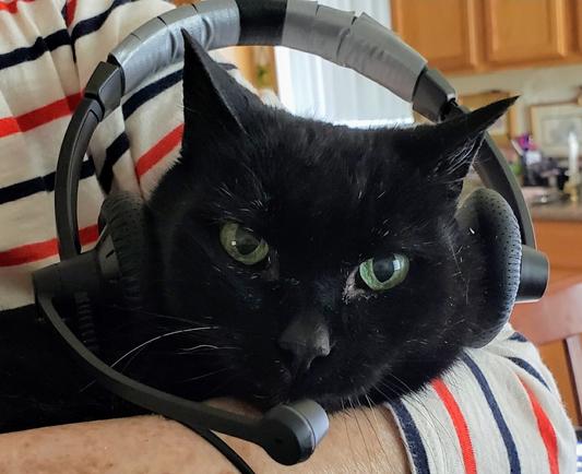 RENAPLUS (Potassium Gluconate) Tablets for Dogs & Cats, 30 tablets, 468 ...