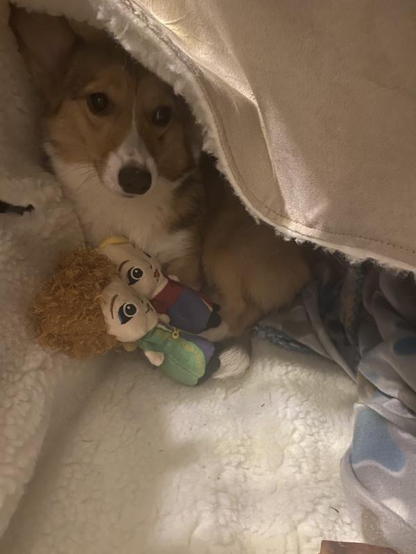 DISNEY Halloween Hocus Pocus Sanderson Sisters Plush Squeaky Dog Toy ...