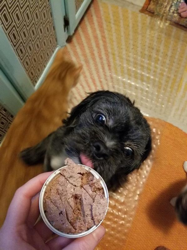 PURINA BENEFUL Infused Pate With Real Chicken, Carrots & Spinach Wet ...