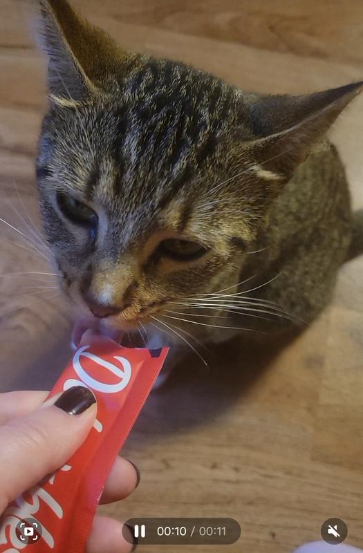 HARTZ Delectables Squeeze Up Chicken with Catnip Flavored Grain-Free ...