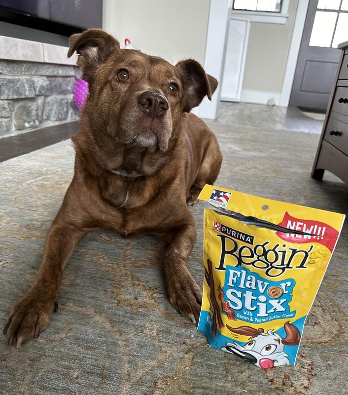 BEGGIN' Flavor Stix with Bacon & Peanut Butter Flavor Soft & Chewy Dog ...