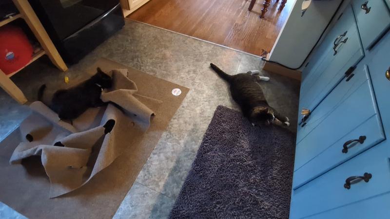 SNUGGLYCAT Ripple Rug Cat Activity Play Mat, Oatmeal White - Chewy.com