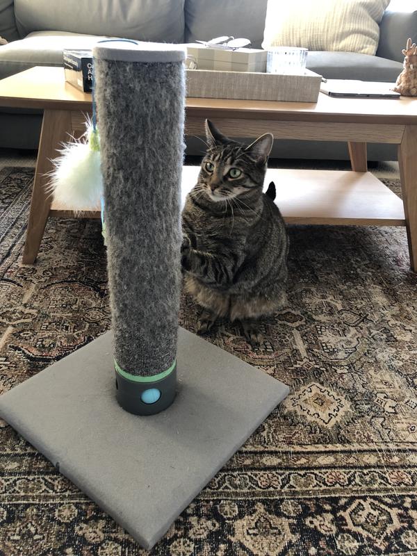 SMARTYKAT Playful Post Carpet Cat Scratching Post with Track Toy Base ...