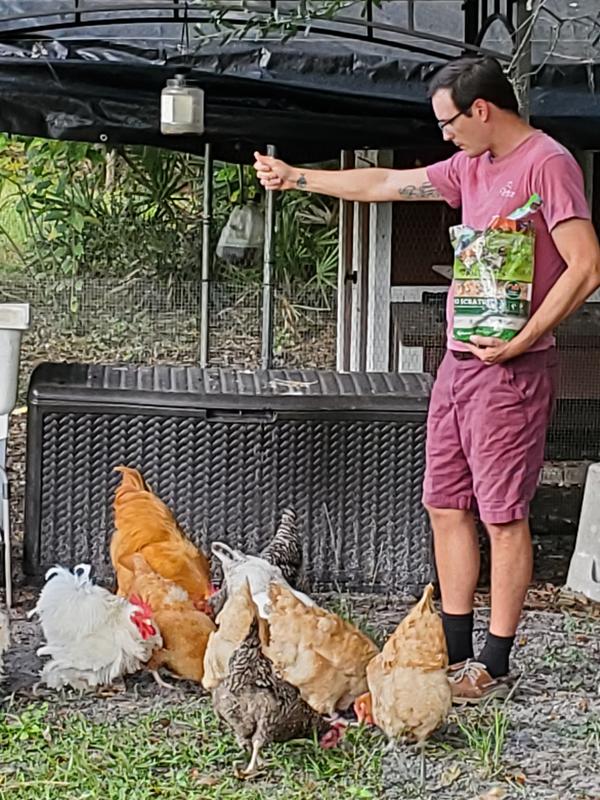 NUTRENA Hi Pro Chicken 12% Protein Scratch Grains & Protein Pellets, 7 ...