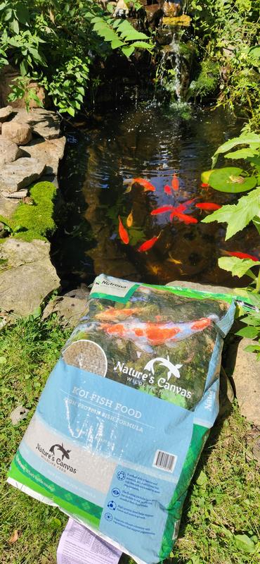 NUTRENA Nature's Canvas Koi Fish Food, 20-lb bag - Chewy.com