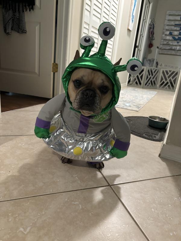 FRISCO Front Walking Alien Dog & Cat Costume, XX-Large - Chewy.com