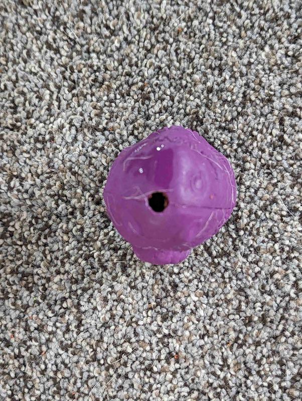 Out of Stock - PETSAFE Busy Buddy Squirrel Dude Treat Dispenser Tough ...