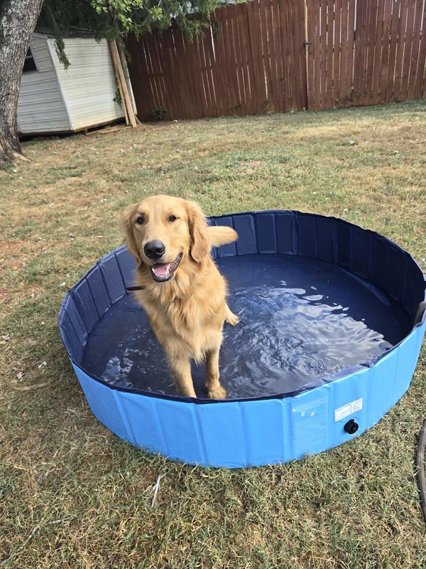 YAHEETECH Foldable Pet Pool, Blue, Large, 47.5-in - Chewy.com