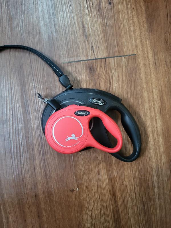 FLEXI Classic Nylon Tape Retractable Dog Leash, Red, Large: 16-ft long ...