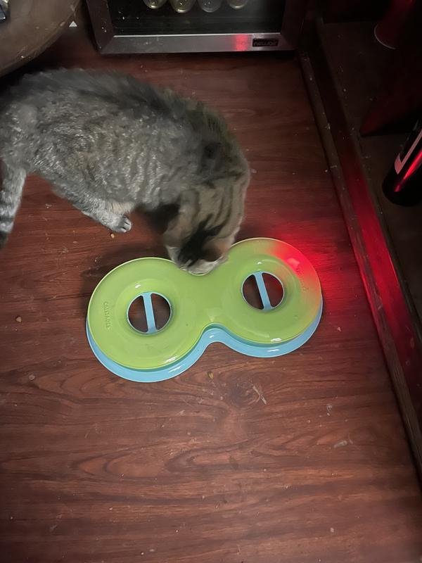 CATSTAGES Infinity Ball Track Including One Light-Up Ball, Figure-8 ...