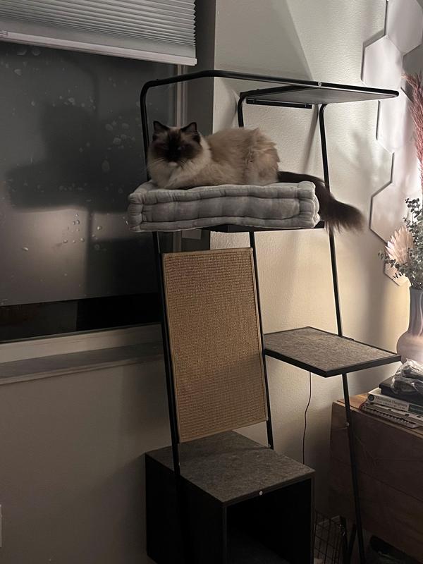 Temporarily Unavailable - SAUDER Baxter Cat Ladder, Misted Elm - Chewy.com