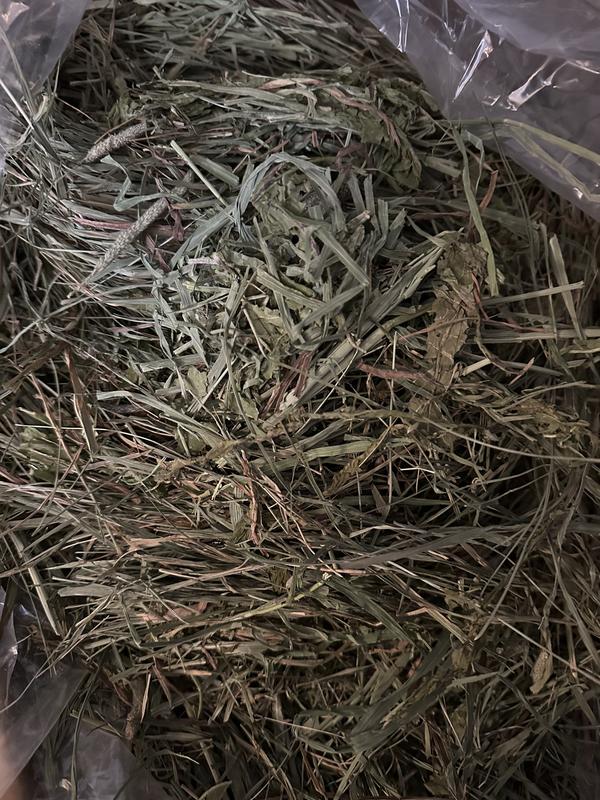 RABBIT HOLE HAY Ultra Premium, Hand Packed Medium Timothy Hay Small ...