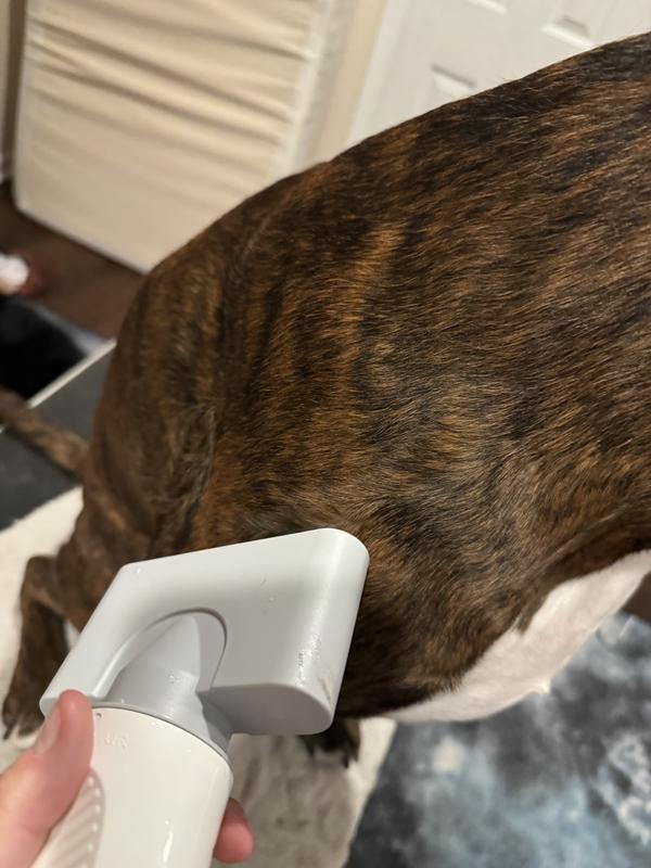 HOMERUNPET Air Force Dog, Cat & Small Pet Dryer, White - Chewy.com