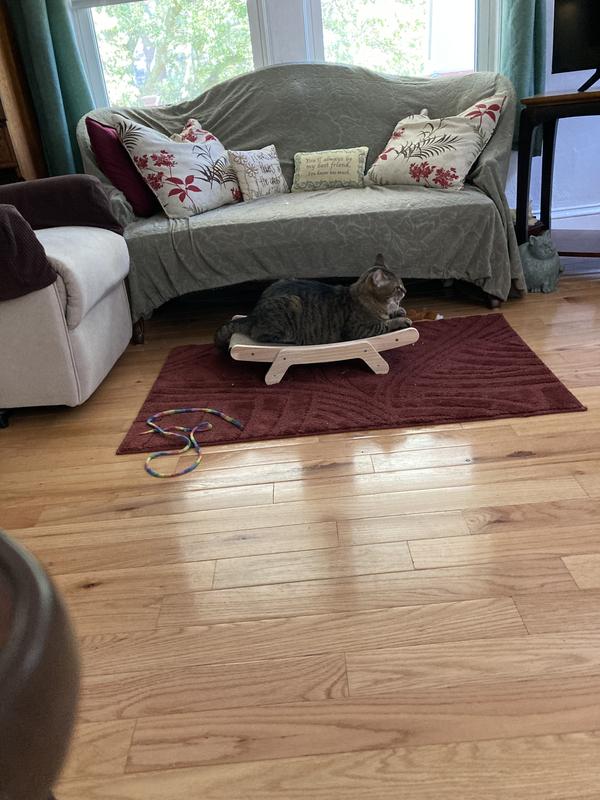 MAU Emory Cat Scratcher Refills, 2 count - Chewy.com