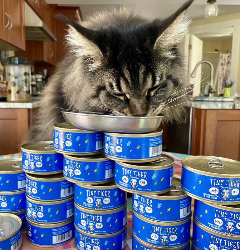 TINY TIGER Pate Ocean Whitefish & Tuna Dinner Canned Cat Food, 5.5-oz ...