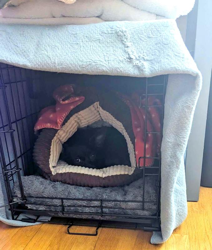 ETHICAL PET Sleep Zone Cuddle Cave Covered Cat & Dog Bed, Chocolate, 22 ...