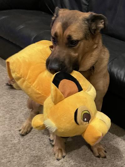 DISNEY Simba Jumbo Plush Squeaky Dog Toy - Chewy.com