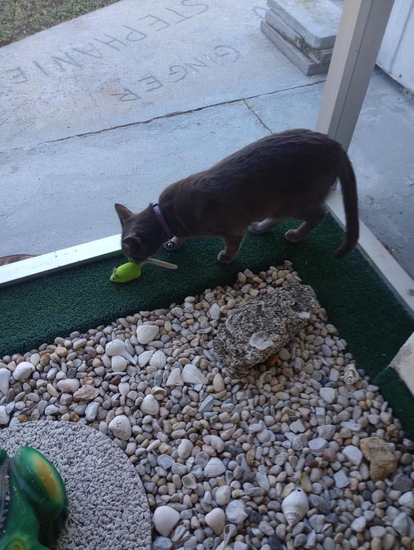 JW PET Cat Zippy Mouse Cat Toy - Chewy.com