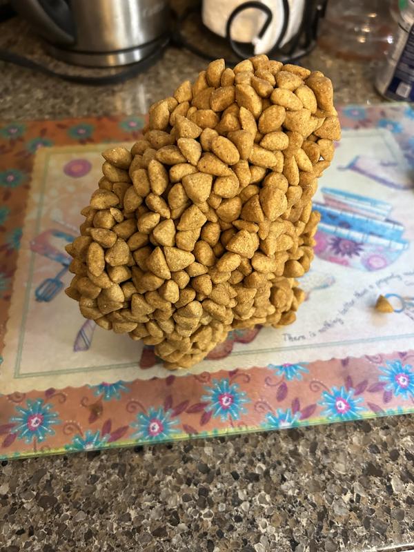 PURINA PRO PLAN VETERINARY DIETS UR Urinary Ox/St Dry Dog Food, 6-lb ...