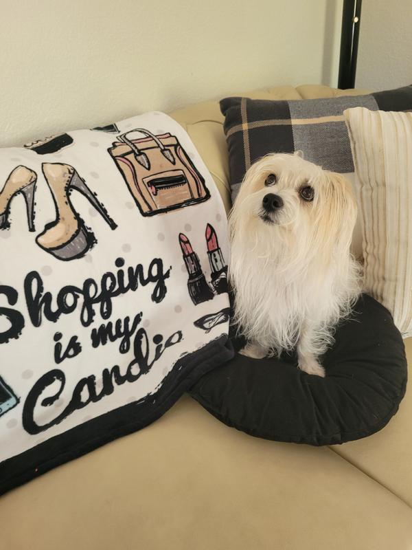 PATPET P920 Low Noise Cordless Paws, Eyes, Ears & Face Grooming Trimmer ...